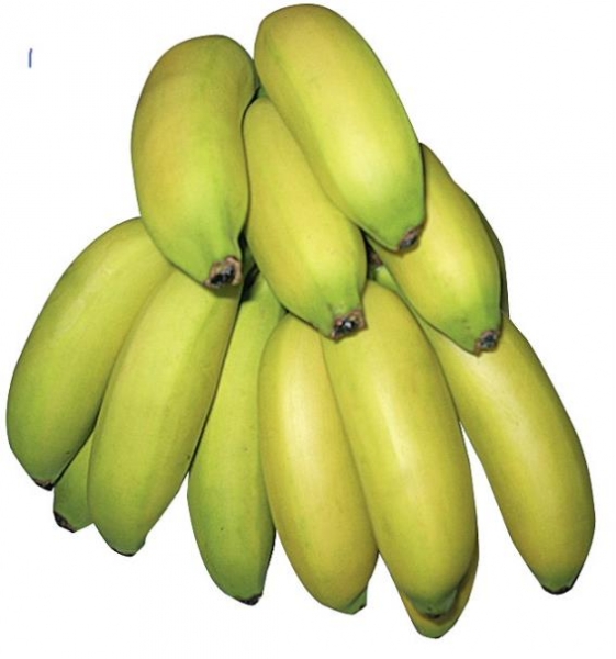 Baby Banane CR 250g (1 Packung) im MillionStore zum Preis von 1,89 EUR